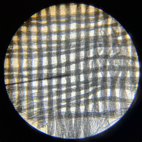 Silk Under A Microscope With My Hands Dream