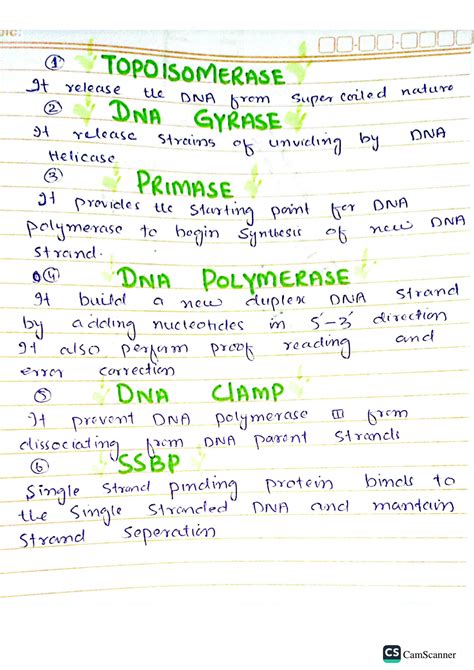 solution enzymes involved in dna replication and protein synthesis