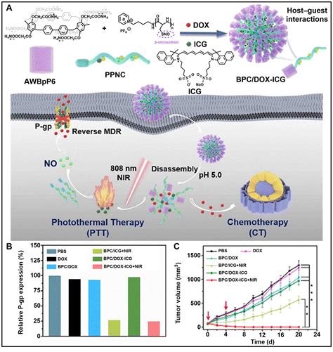 Supramolecular Host Guest Nanosystems For Overcoming Cancer Drug Resistance