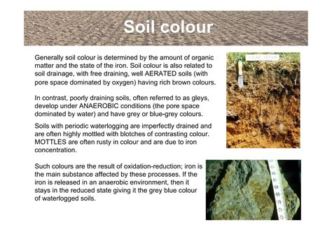 An Introduction To Soils Soil Formation And Terminology Ppt