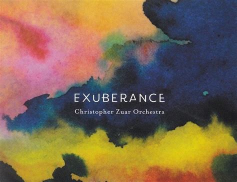 ΔΙΣΚΟΡΥΧΕΙΟΝ Vinylmine O Christopher Zuar και η 19μελής τζαζ ορχήστρα του