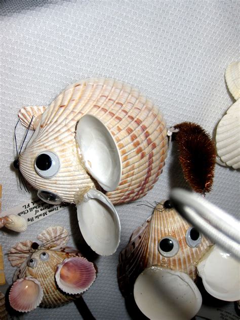 Shell Mice Diy Craft With Cockle Shells And Kitten Paw Shells