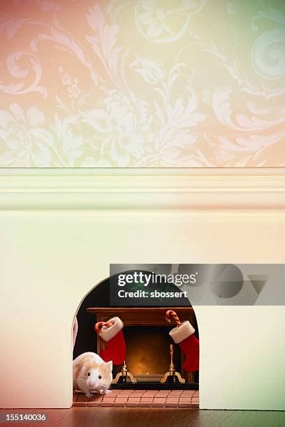 Candy Mouse Photos And Premium High Res Pictures Getty Images