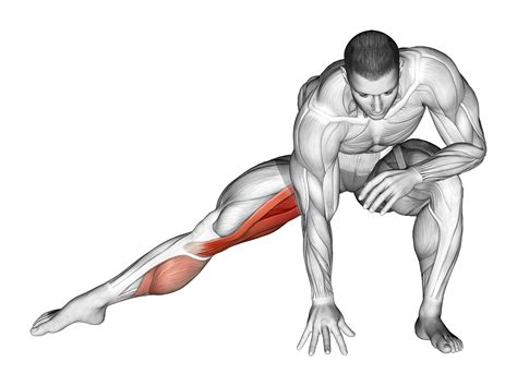 Standing Adductor Stretch Benefits Muscles Worked And More Inspire Us