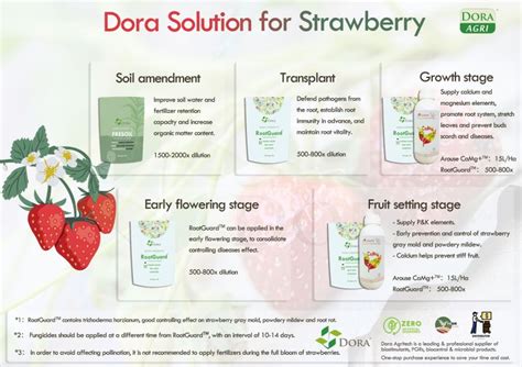 许kayla On Linkedin Soil Trichoderma Microbe Root Leaf Strawberry