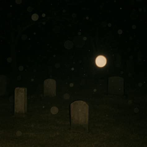 Light Orbs Vs Dust Particles How To Spot The Difference In Photos