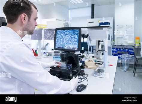 Cancer Research Laboratory Scientist Studying Cells Under The Microscope Using Computer Screen