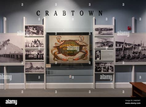 Exhibit Exhibition Collection Historic Photographs Hi Res Stock