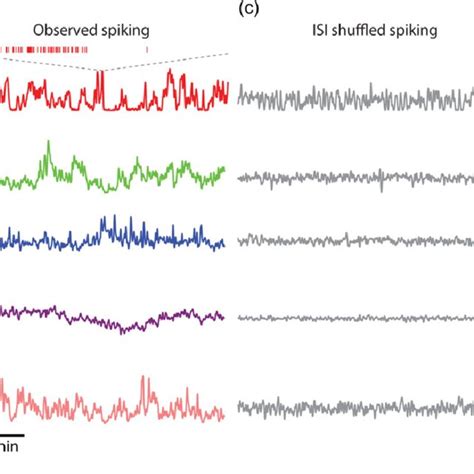 Fast And Slow Timescale Dynamics Of Individual Cortical Neurons A Download Scientific