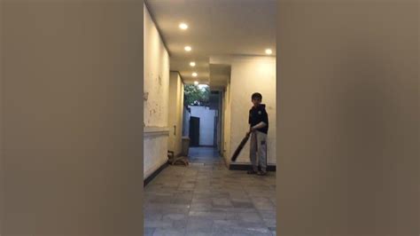 Cricket Princemaxwell Cricketlover Princebatting Viratkohli