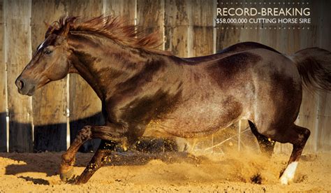Romantic Cat Select Sires