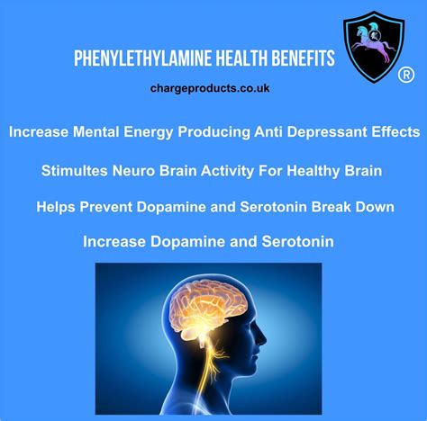 Phenylethylamine Hcl Capsules 500mg Adhd Dopamine And Norepinephrine