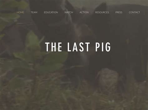 Lynn Creasy Ⓥ on LinkedIn: WATCH WORTHY: THE LAST PIG on Vimeo, DVD, or PBS 'Pigs are incredibly…
