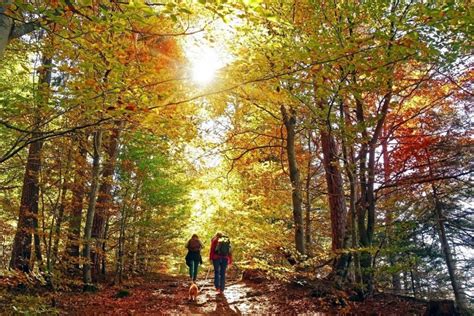 A Helpful Guide To Enjoying The Benefits Of The Great Outdoors The