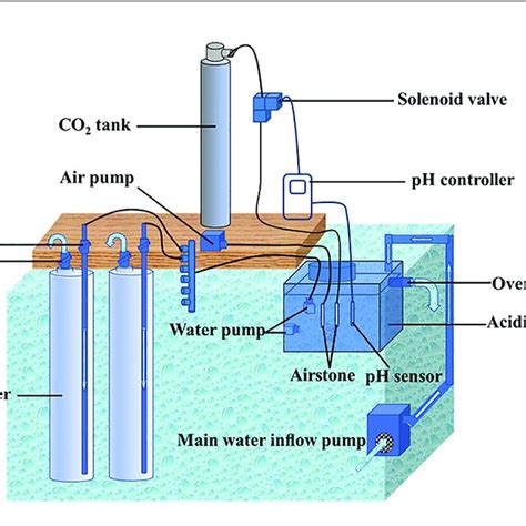 Schematic Diagram Of The Ph Controlling And Mesocosm System