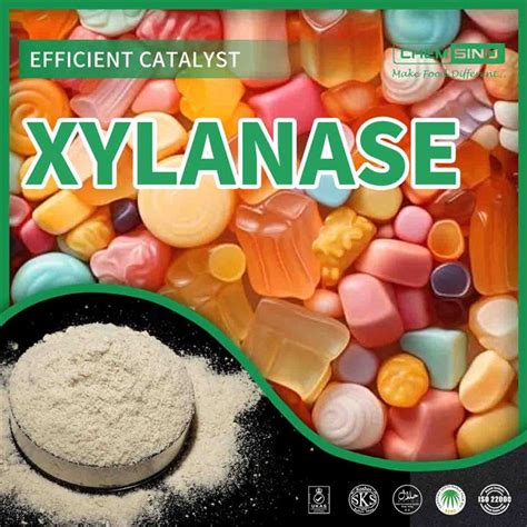 China Customized Unraveling The Potential Of Cas 9025 57 4 Xylanase At