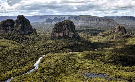 Without Ancestors Or Descendants” Scientists Uncover Unique 6000