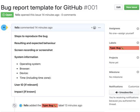How To Write A Bug Report Effectively Examples And Templates Inside