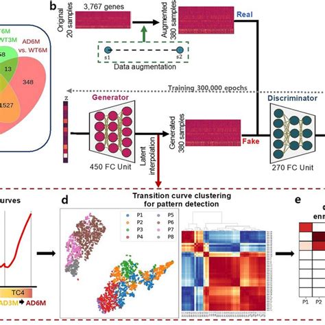 Schematic Overview Of Gan Training And Workflow Of Downstream Analyses