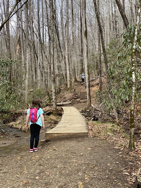 50 Things To Do In Brevard Nc Our Blue Ridge House