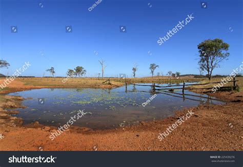 1212 Imágenes De Australian Billabong Imágenes Fotos Y Vectores De