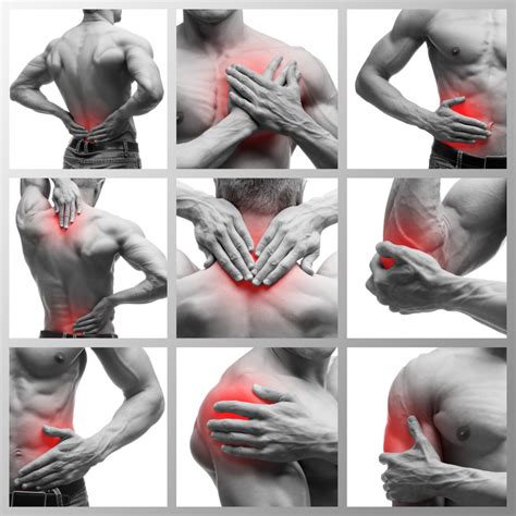 Espasmo Muscular Principais Causas Fisiologia Infoescola