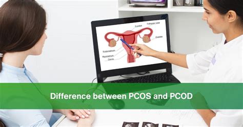 Difference Between PCOS And PCOD A Detailed Analysis Of Its Causes And Symptoms In 2023