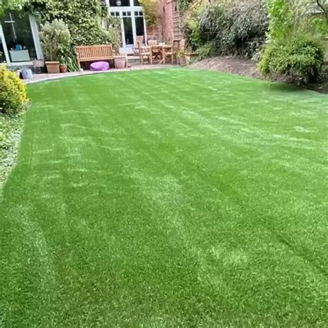 Green Bermuda Lawn Grass For Garden 4 Inch At ₹ 10sq Ft In Meerut