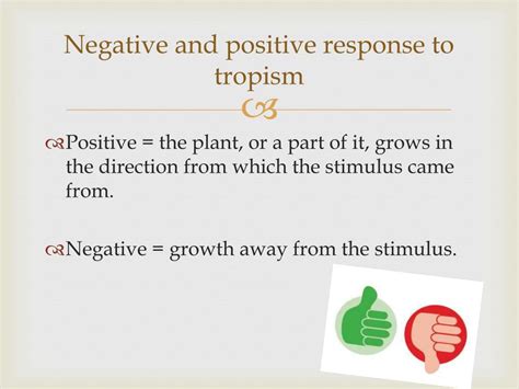 Ppt Unique Tropism Of Plants Powerpoint Presentation Free Download