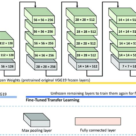 Fine Tuned Transfer Learning For The Vgg19 Model For Rice Leaf Disease