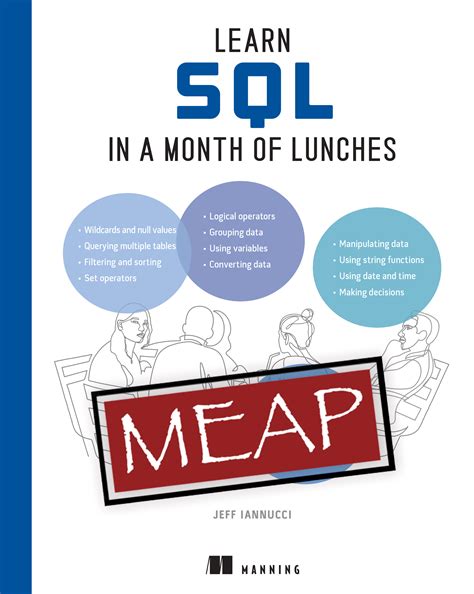 learn sql in a month of lunches