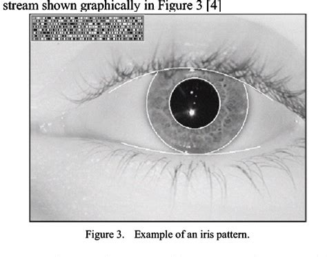 figure 2 from the comparison of iris recognition using principal