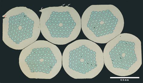 Figure 2 From Design And Development Of A 28 Ghz Nb {{ Text{3}}} Sn Ecr Ion Source