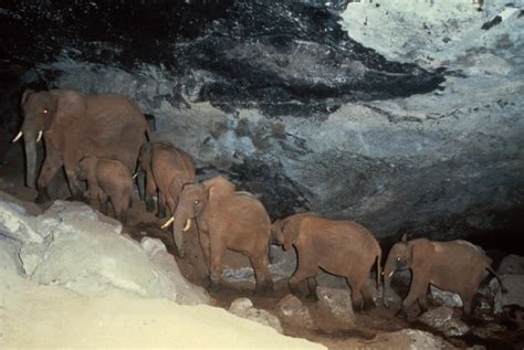 What Makes Kitum Cave The Most Dangerous Place On Earth