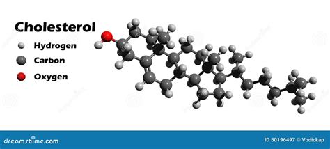 Cholesterol Stock Illustration Illustration Of Bond