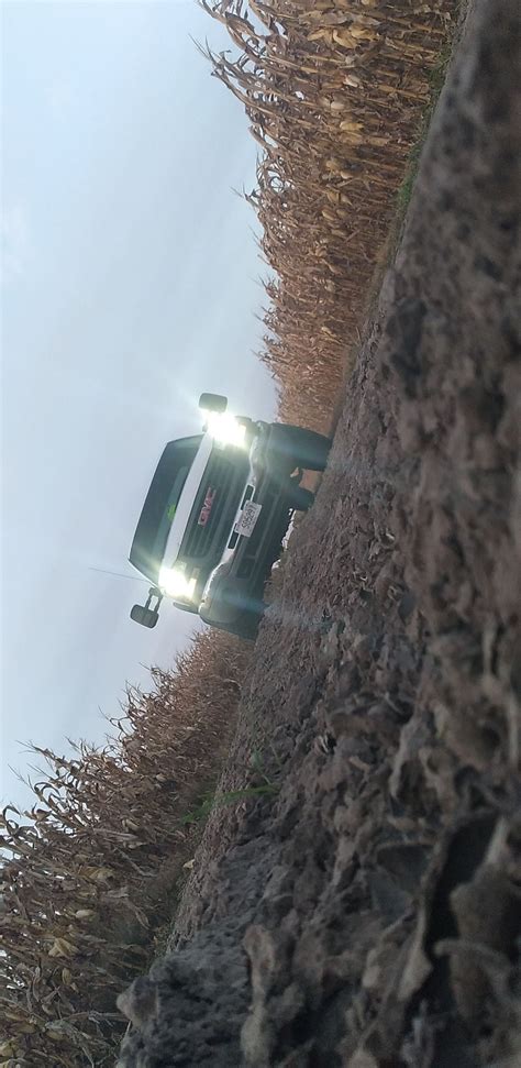 Gallery Tyler Roach Vsco