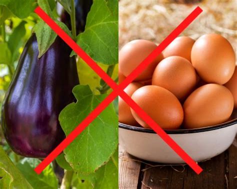 Cà Tím ăn Sống được Không Tránh Làm 9 điều “cấm Kỵ” Với Cà Tím