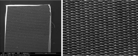 Scanning Electron Micrographs Showing The Surface Morphology Of The Gel