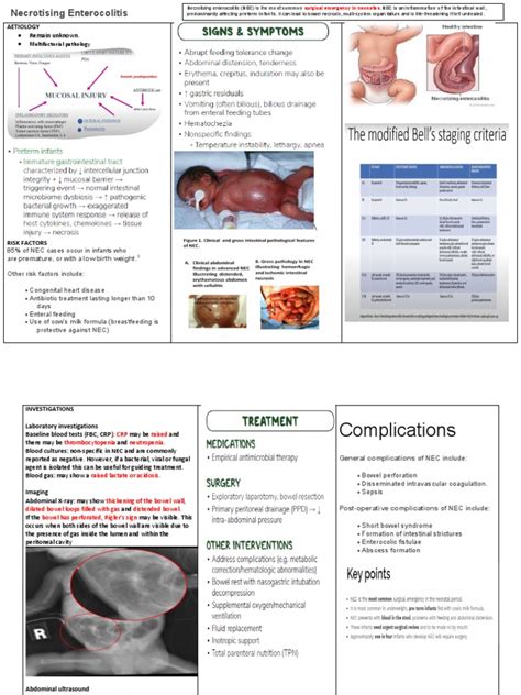 Necrotizing Enterocolitis Pdf