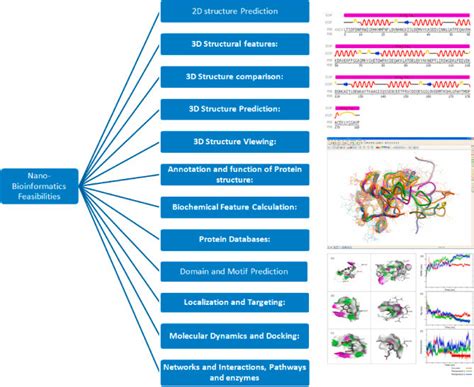 Important Bioinformatics Tools