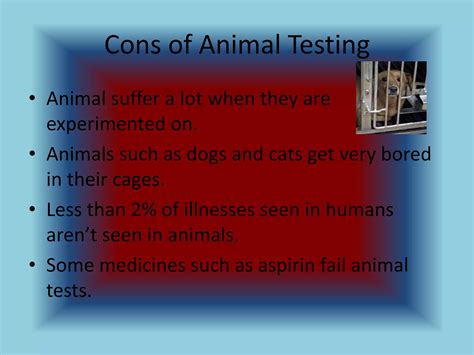 Animal Testing Pptx