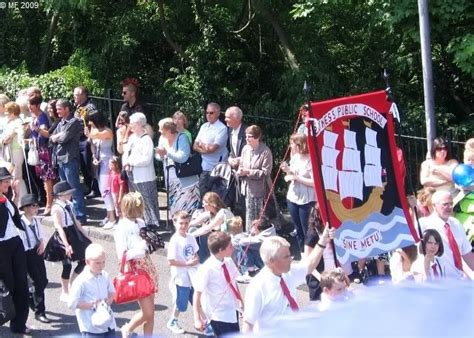 Buzzy Bees Pics My Pictures