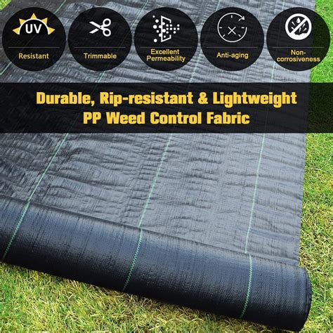 News Why Bluekin Weed Control Solutions Are Essential The Power Of