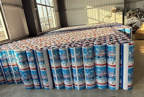 China Polyethylene Polypropylene Membrane Production Line Equipment