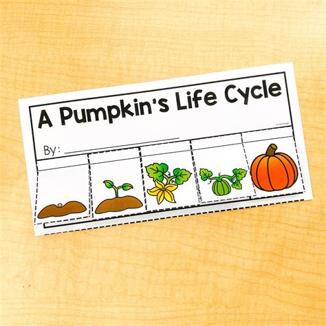 Free Printable Pumpkin Life Cycle