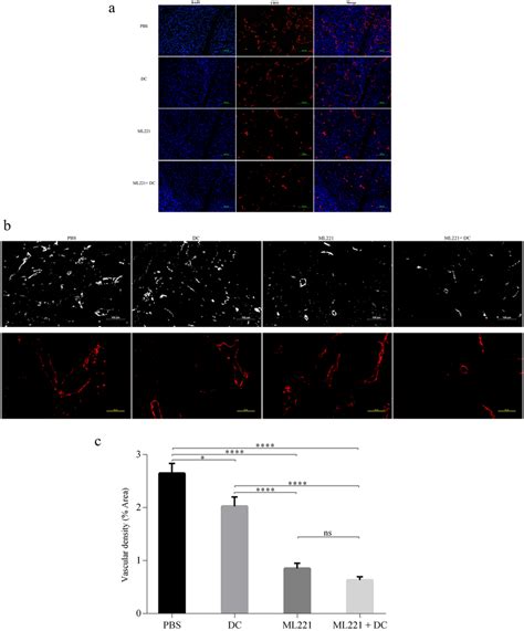 Representative Figures Of Immunofluorescent Staining Of Cd31 Red And