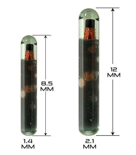 2 Uidmicrochips Unified Information Devices