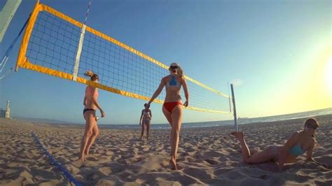 Volleyball Stock Video Footage For Free Download