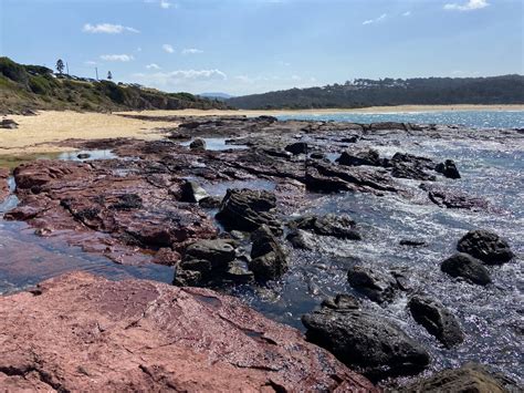 Rockpools Warriors Daughters Of The Coast Wiki Fandom