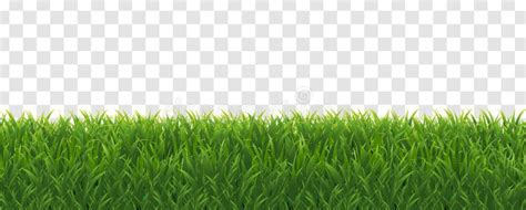 Green Grass And Blue Sky Stock Vector Illustration Of Fresh 19145746